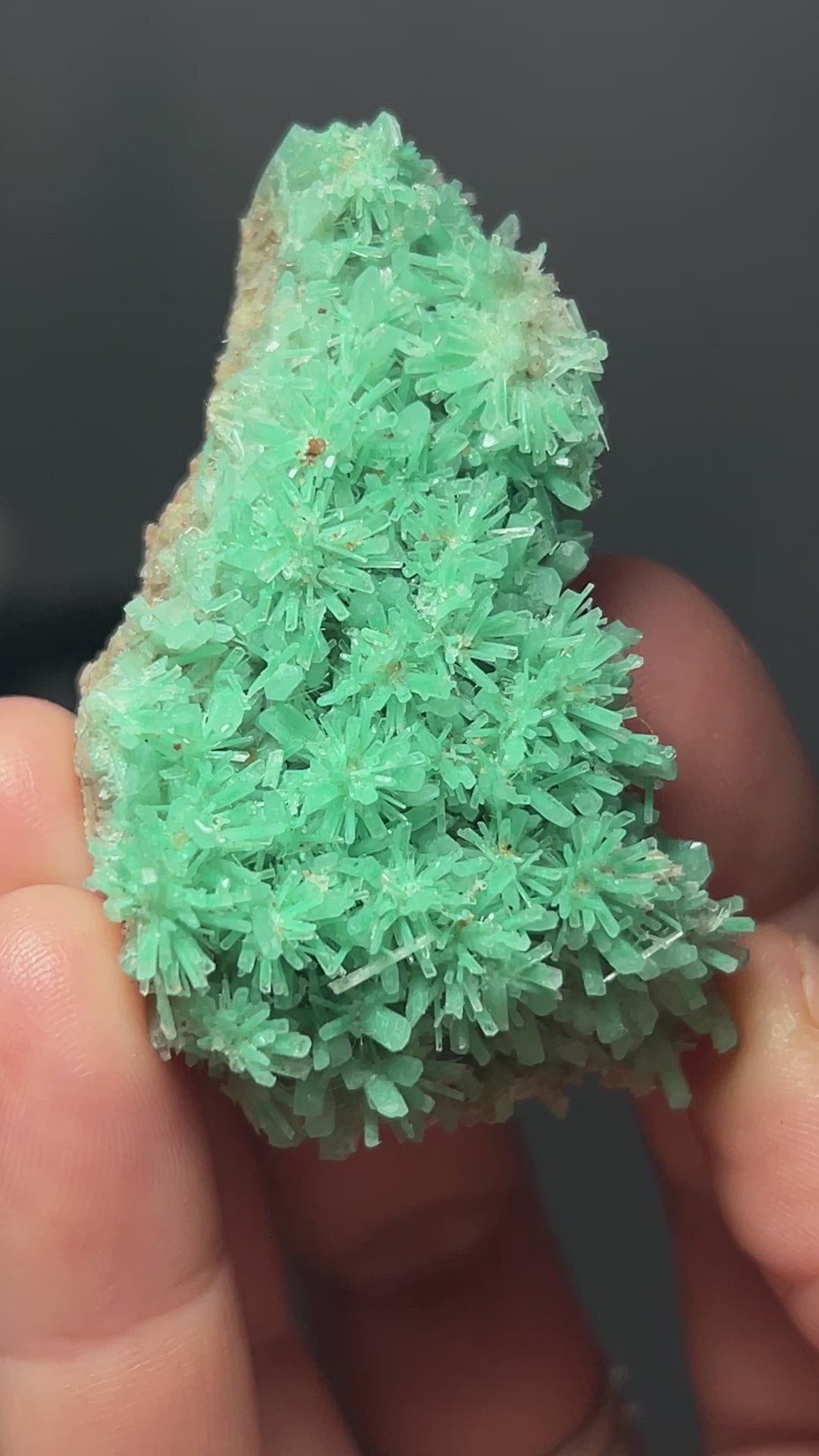 GREEN SELENITE VAR GYPSUM FROM PERNATTY LAGOON, AUSTRALIA – Secret ...